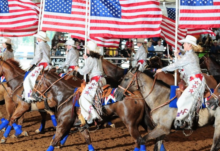 Equestrian Mounted Drill Team - Pets Australia