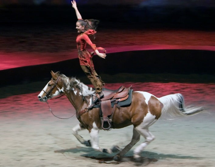 Stunt Riding or Trick Riding - Pets Australia