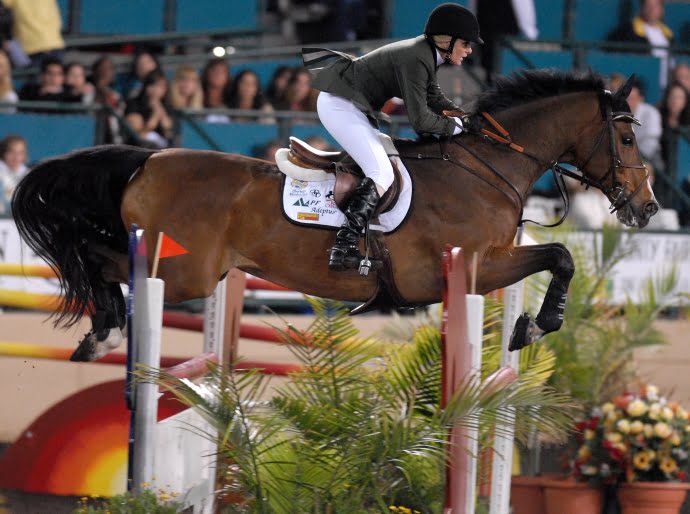 Show Hunter Competition - Pets Australia