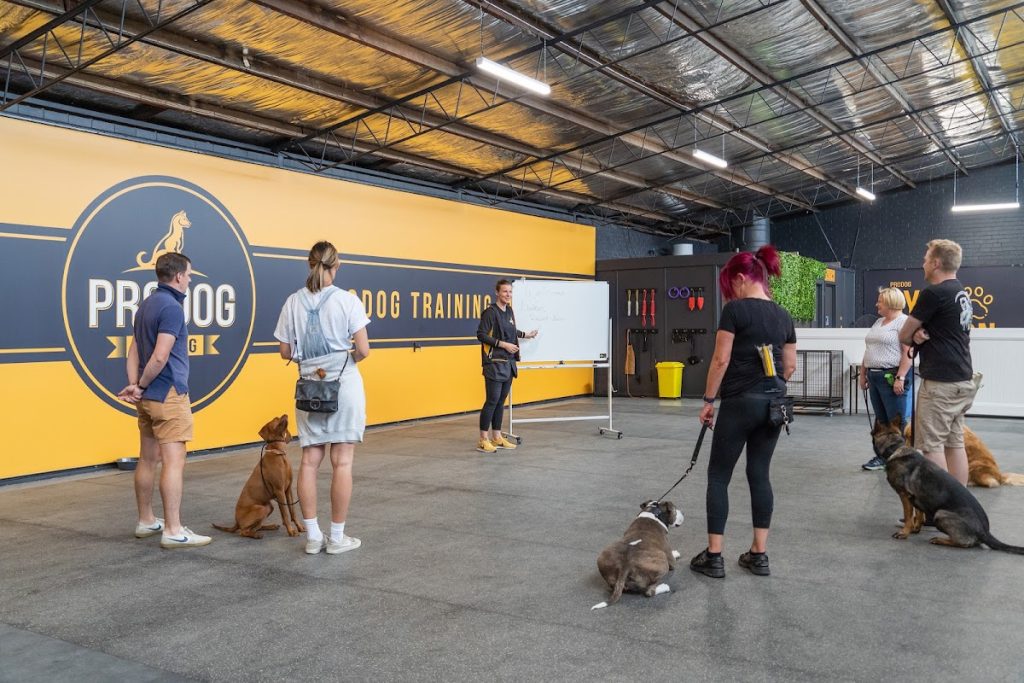 Pro Dog Training - Pets Australia